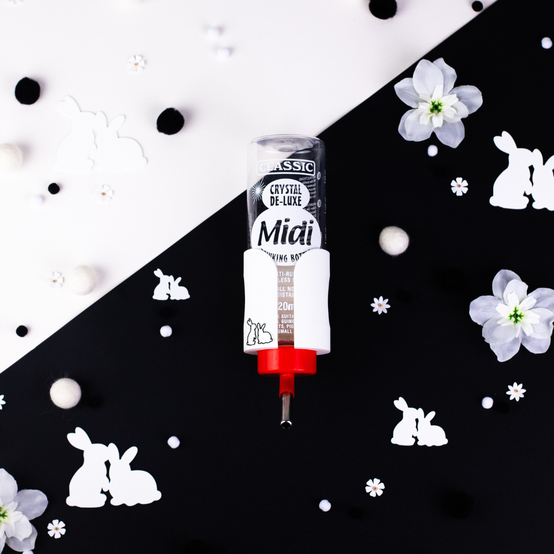 Guinea Pig & Rabbit Water Bottle Holder - Bright White – Buttercup Pet ...