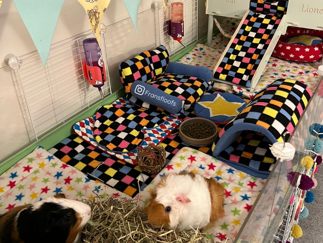 Buttercup Pet Products